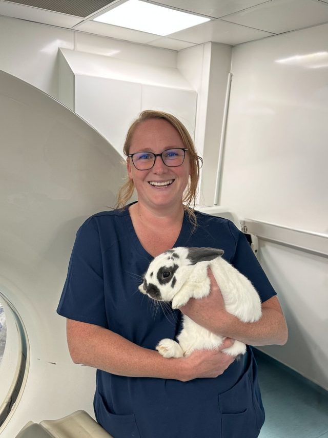 The Vet's Pet Insurance Choice | Petplan