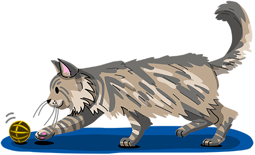 Cat tail language | Petplan