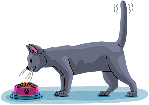 Cat tail language | Petplan