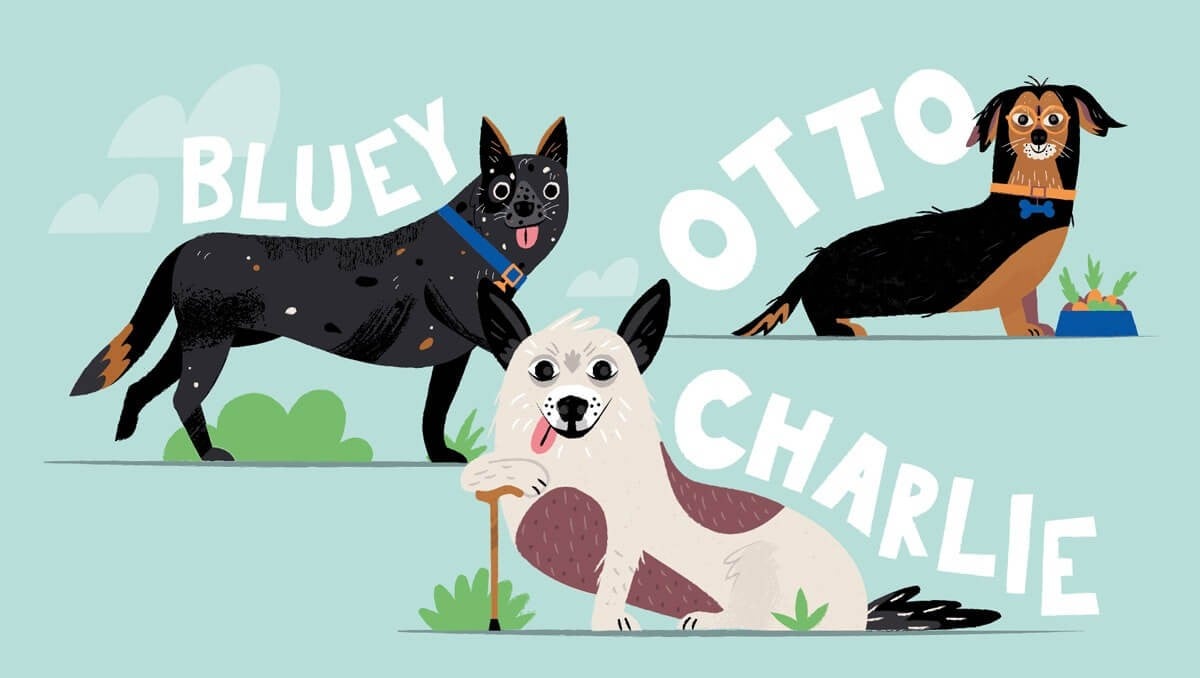Dog health tips from three of the world's oldest dogs | Petplan