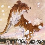 7 famous fictional dogs | Petplan